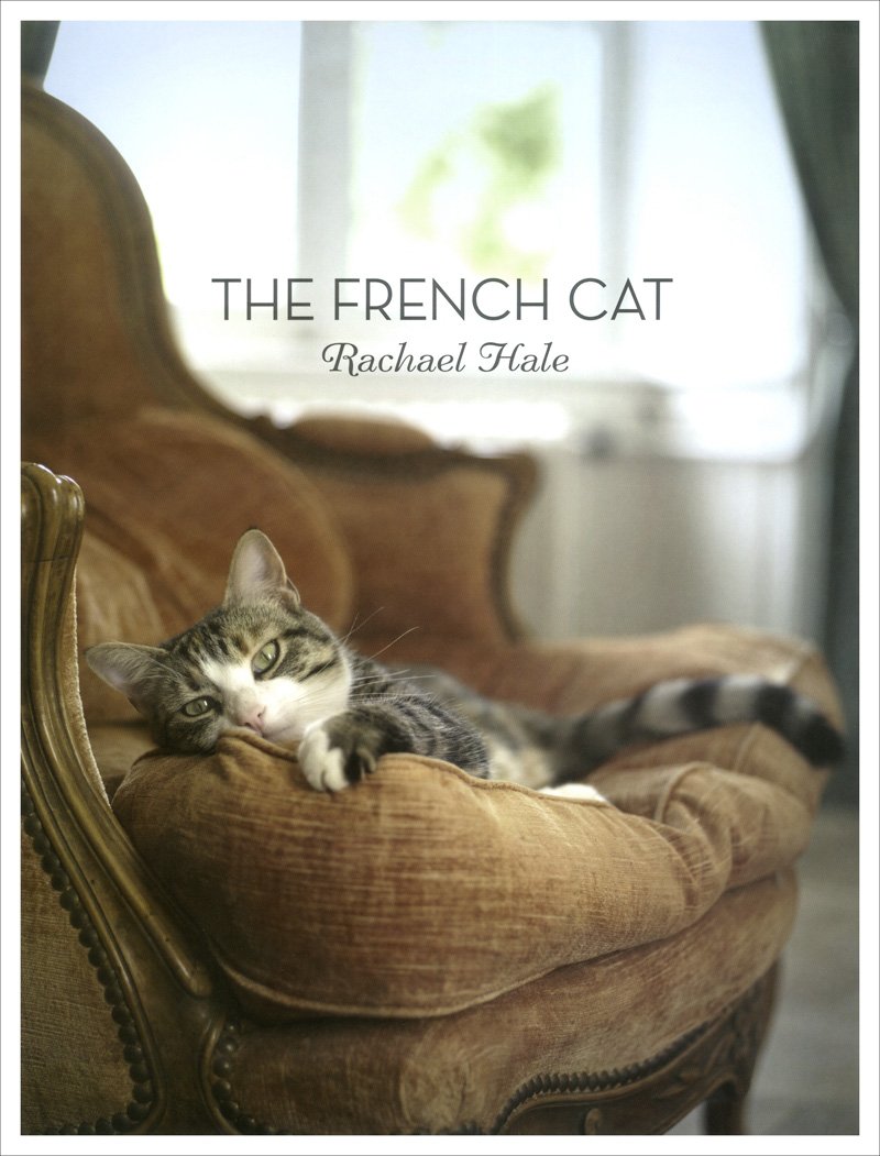 Professional Cat Photos From the French Countryside