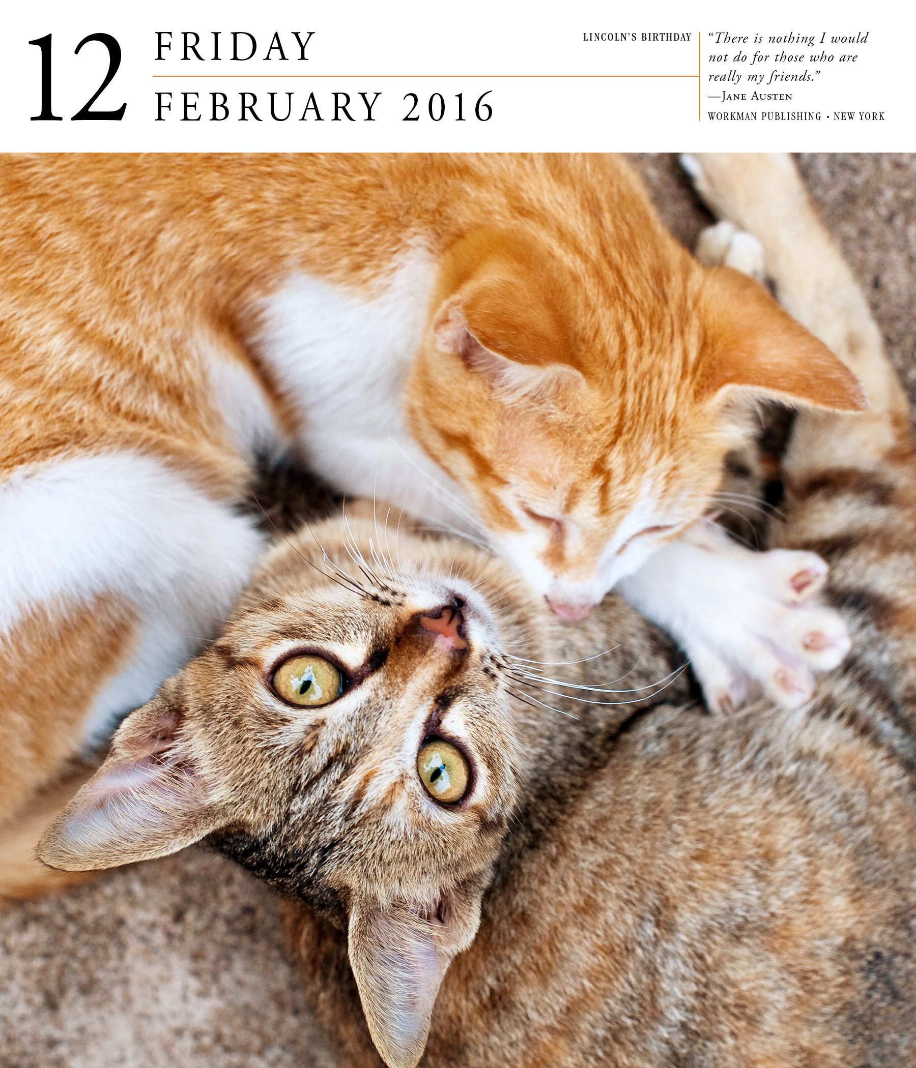 Page a Day Gallery Cat Calendar for 2016 - Cute Cat Accessories